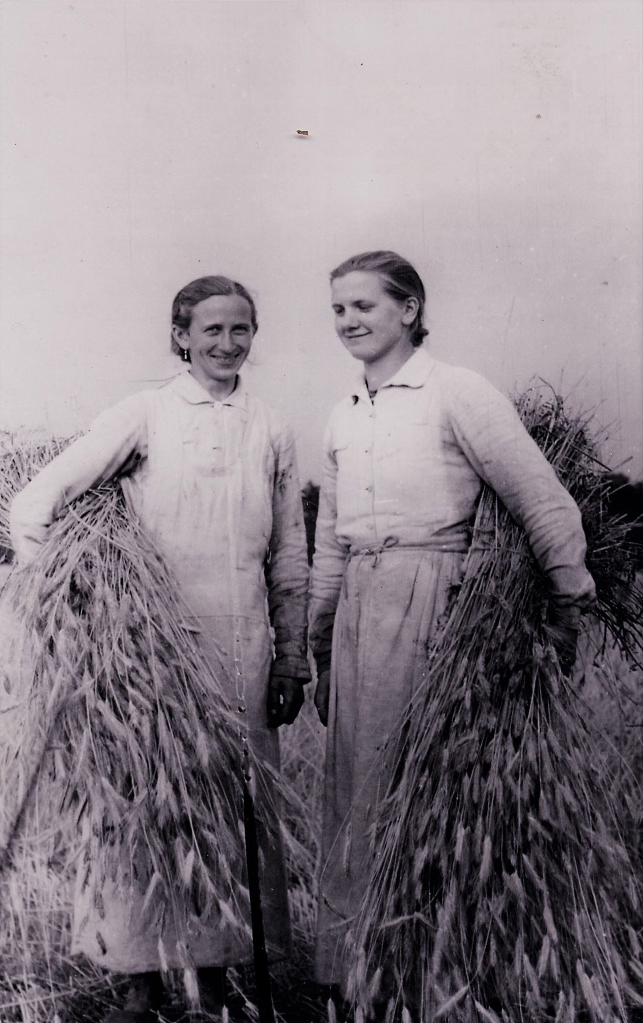 Wendland-Archiv - Elli Stoppel und Olga Schulz beim Garben binden.